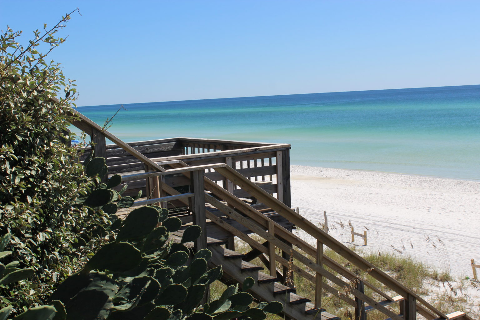 Panama City Beach WonderWorks | Science & Adventure